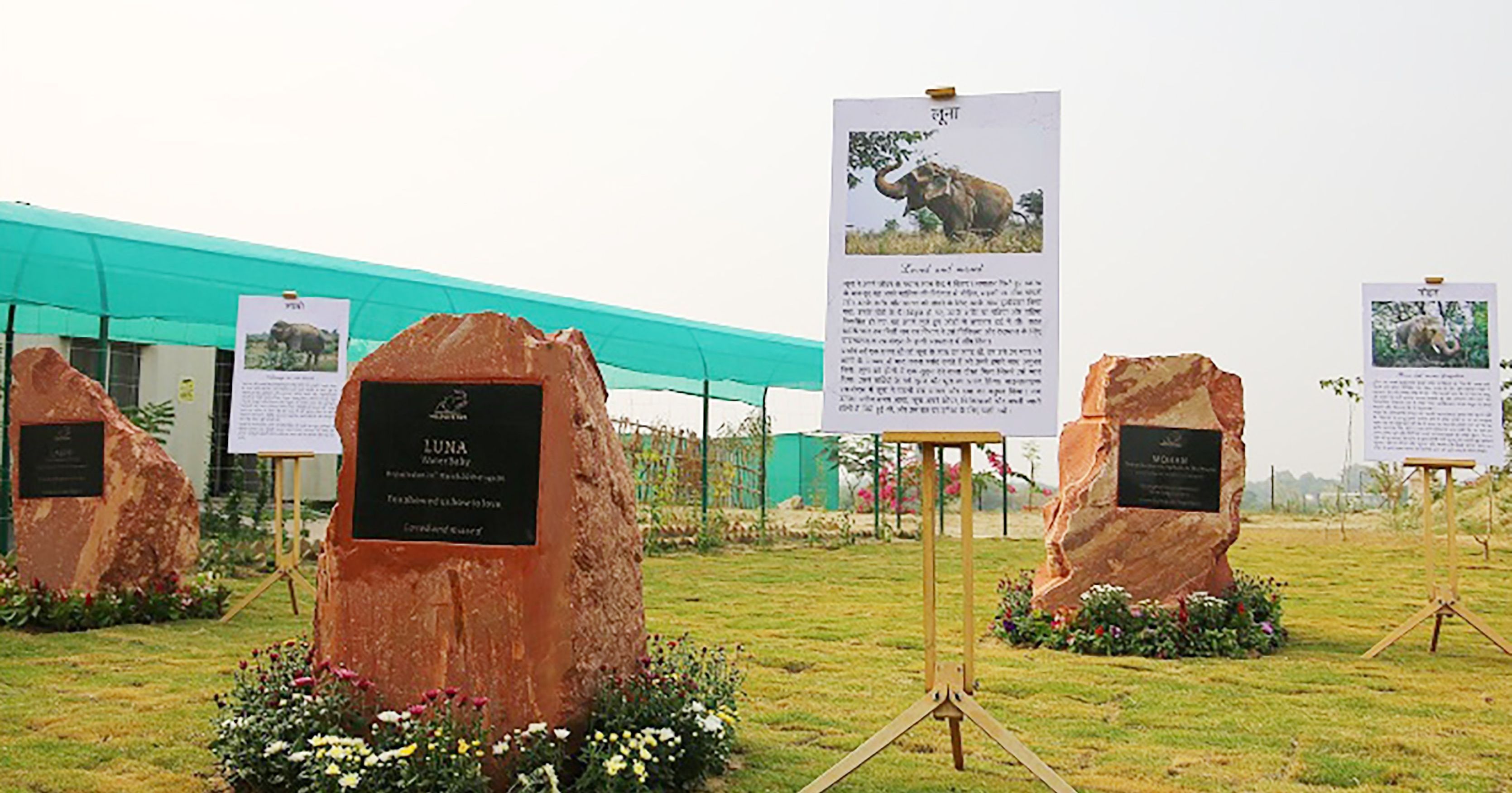 An Elephant Memorial To Remind Us To Be Kinder