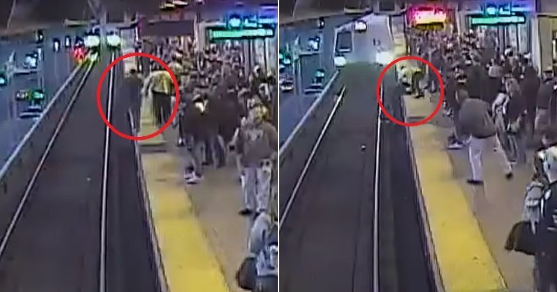 Man Who Fell On Railway Tracks Rescued Moments Before Train Arrives At ...