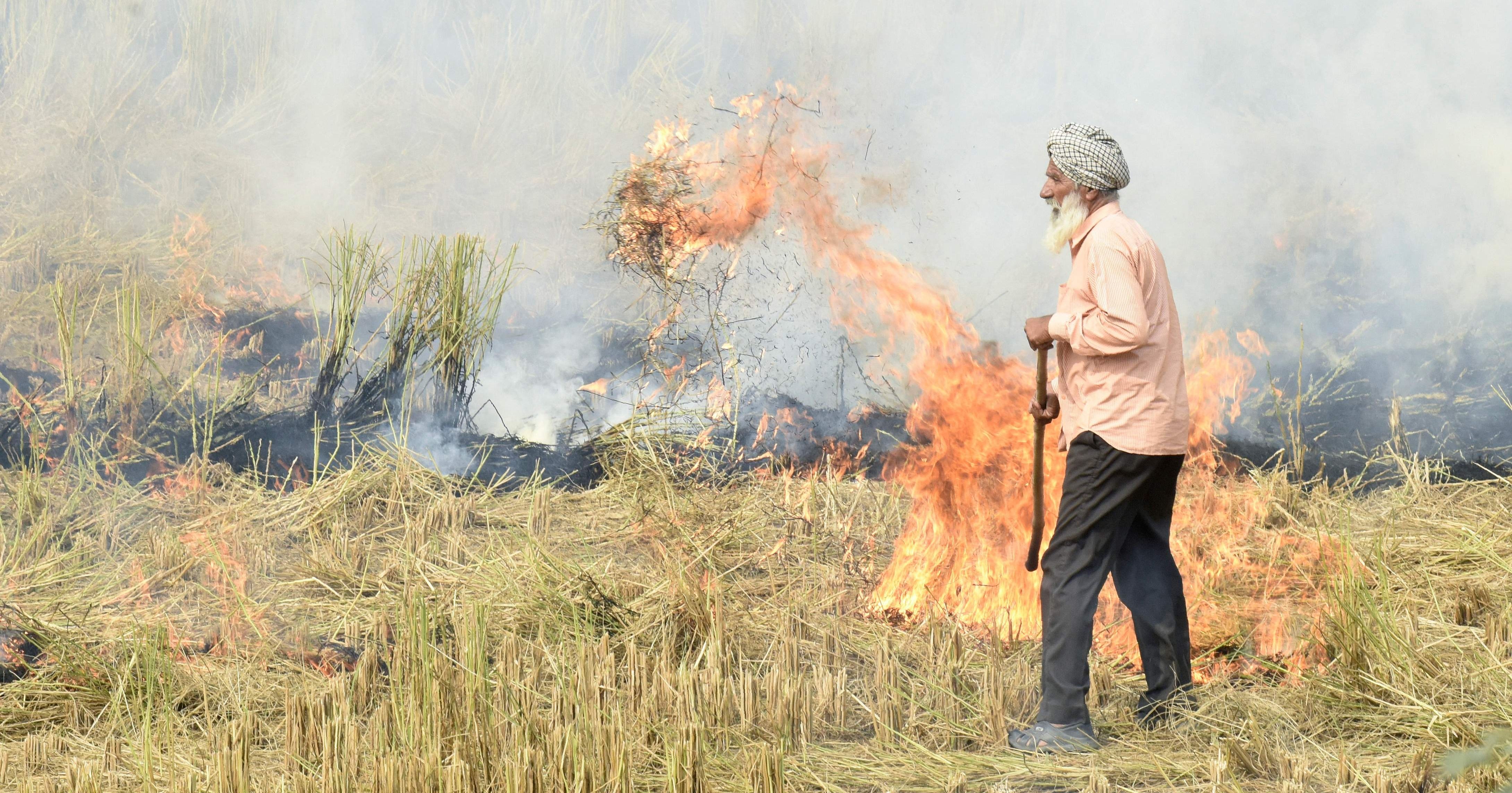 Delhi Air Turns Toxic Again After Over 48,000 Cases Of Stubble Burning ...