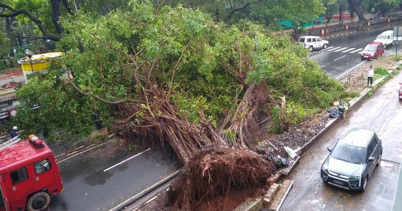 Kyarr Intensifies Into Very Severe Cyclonic Storm, Leaves A Trail Of ...