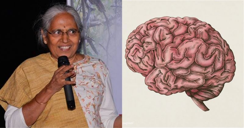 Indians Have The Smallest Brain In The World, Reveals New Study At IIT ...