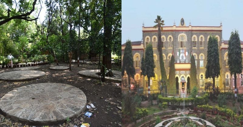 10 Fully-Grown Subabul Trees Were Axed Down In This Pune College Campus ...