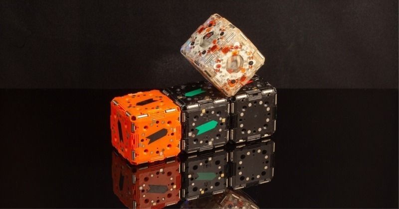 These New Cube Robots From MIT Can Assemble Themselves Into Shapes Like ...