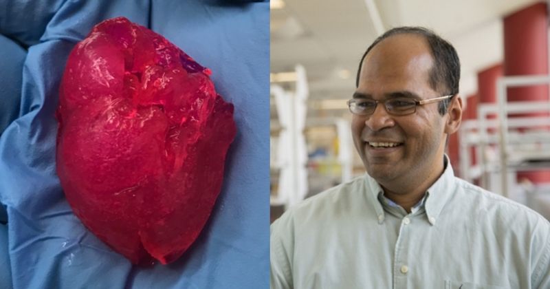 Indian-Origin Scientist's Team 3D Printed A Tiny Heart, Can Eliminate ...