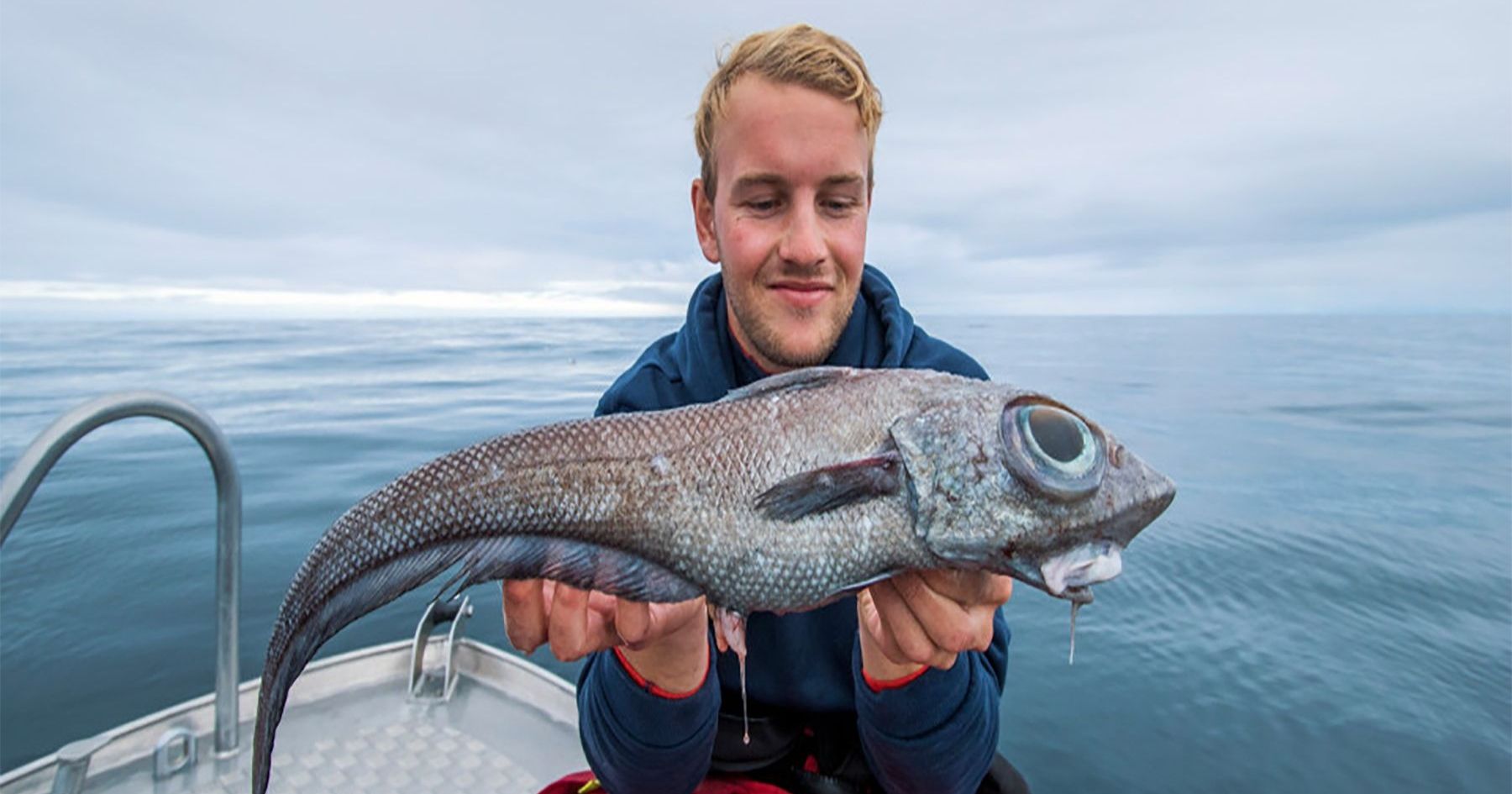 Weird Sea Animals Caught On Camera