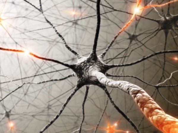 Understanding Peripheral Nerves Types Peripheral Neuropathy