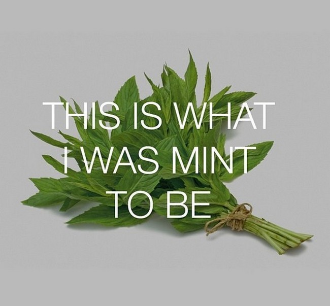 12 Food Puns That Will Make You Chuckle