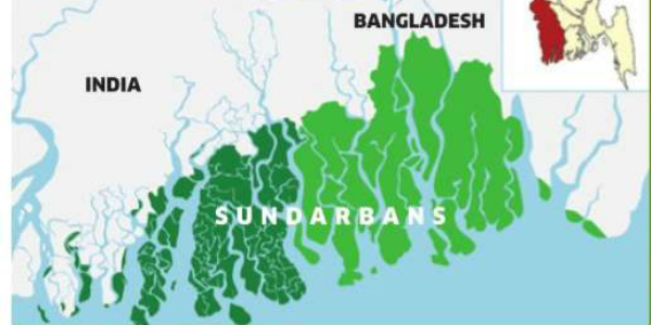 #SavingSunderbans: Five Reasons Why World's Largest Delta Is Dying And ...