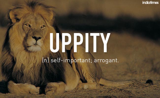 26 Beautiful Words From A To Z You Need To Use More Often