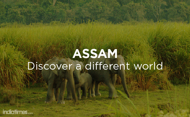 15 Taglines To Indian States So True, You'll Be Forced To Hit Share