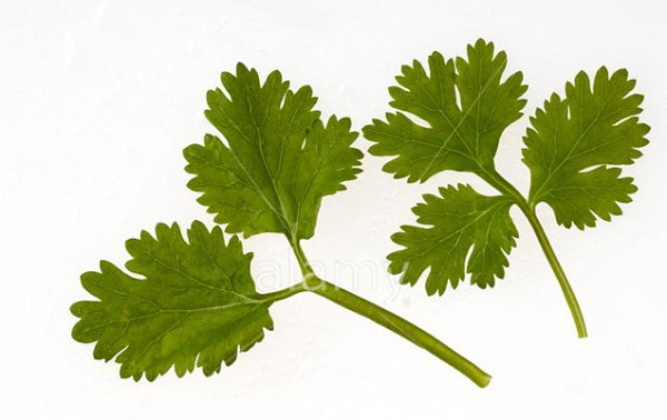 These 23 Pictures Represent A Perfect Day In India