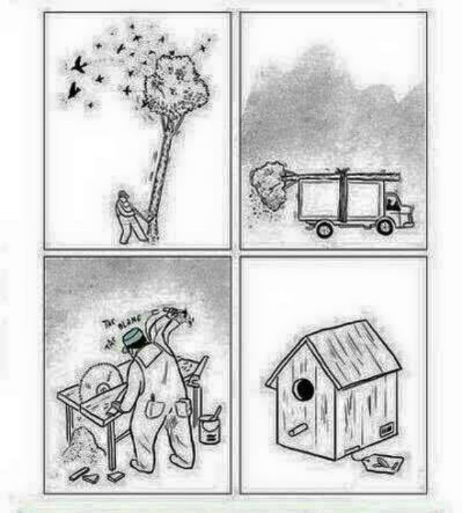 13 Powerful Images That Show Us Exactly What's Wrong With Our World