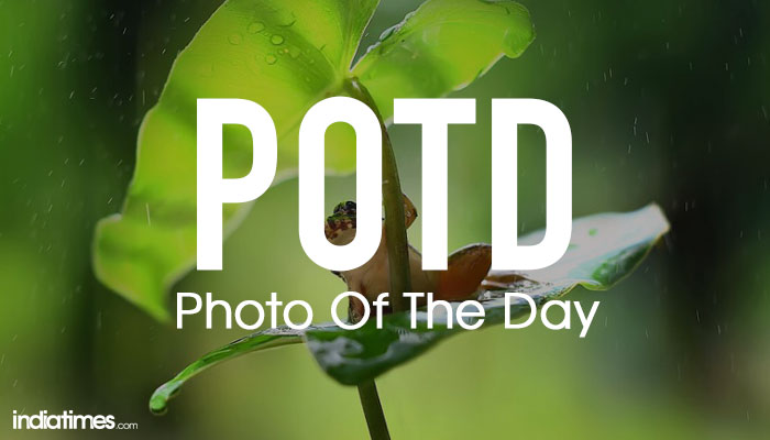 25 Common Social Media Abbreviations You Need To Know Today