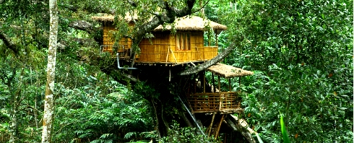 14 Tree-Houses In India Where You Can Feel At One With Nature And Not ...