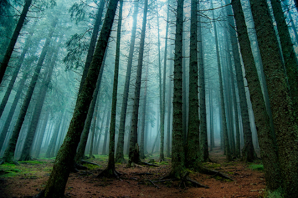 21 Weird Phobias You Won't Believe Exist