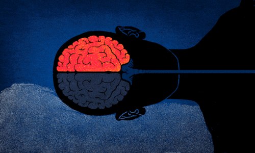 Did You Know One Half Of Your Brain Stays Alert When You Sleep In An ...