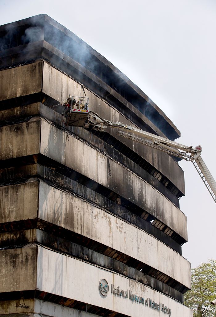 These Photos Reveal The Damage At The Museum of Natural History In ...