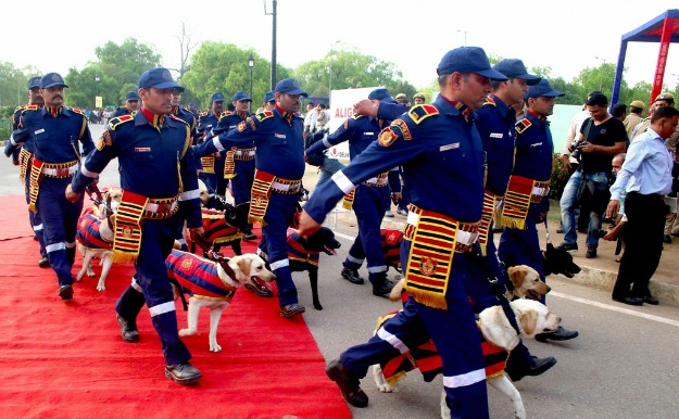 Presenting Delhi Police's Latest Weapon - The Adorable But Very Lethal ...