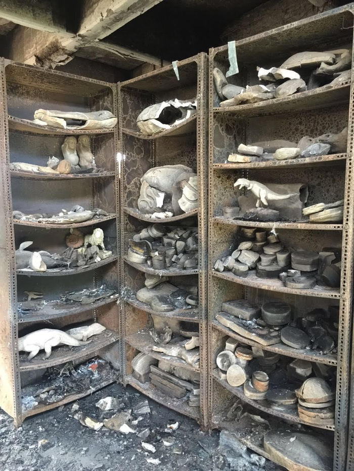 These Photos Reveal The Damage At The Museum of Natural History In ...