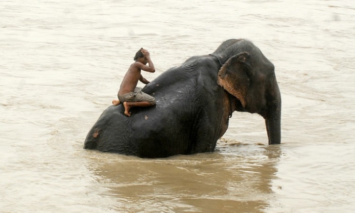 India and Bangladesh Officials Struggling For A Month To Save One ...