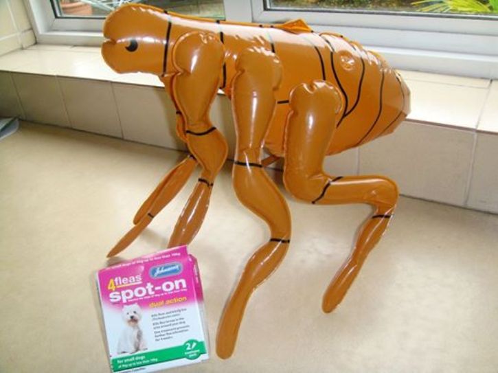 7+ Of The Most Random Prizes Ever Awarded To (Un)Lucky People