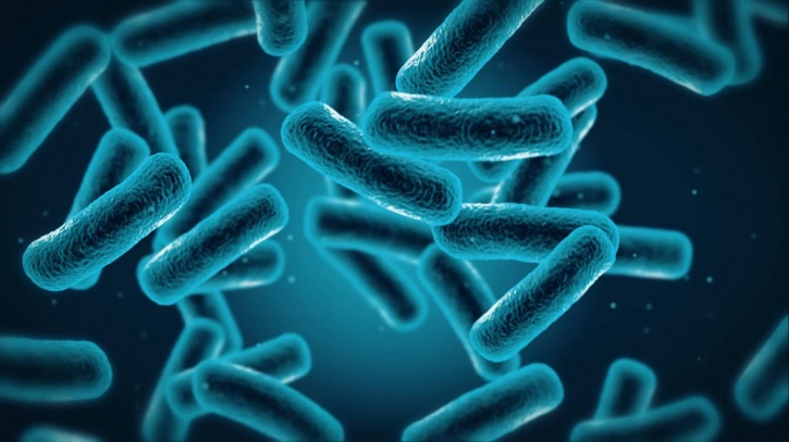 Scientists Develop Bacteria-Powered Batteries To Charge Disposable ...