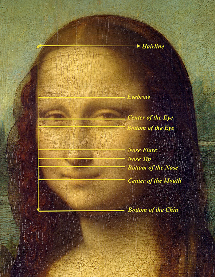 What Do Flowers, The Mona Lisa & A Pine Cone Have In Common? Let The ...