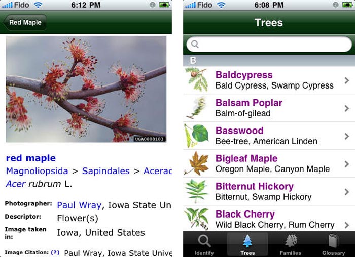 Teen Creates 'Treebook' App To Keep Saplings Alive After Plantation Drives