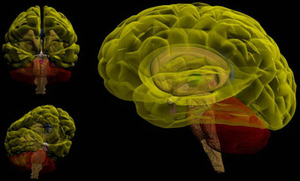 An Indian-Origin Scientist Is Part Of A Team That Has Developed 3D ...