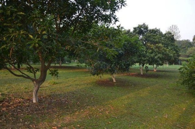 7 Kinds Of Orchards You Can Go Fruit Picking At Around India