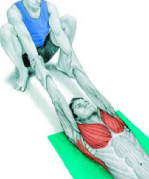 34 Amazing Illustrations That Show Which Muscle Groups Are Affected ...