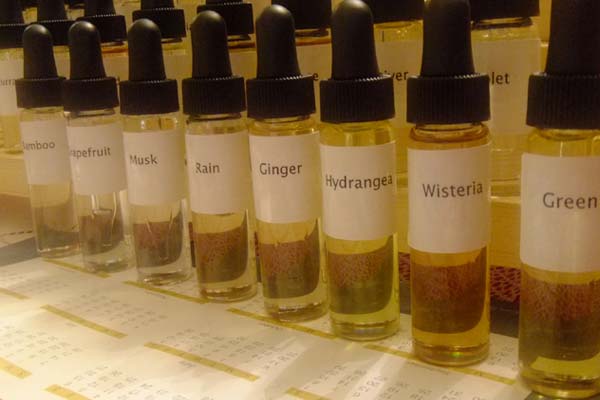 12 Interesting Things We Bet You Didn’t Know About Perfume!