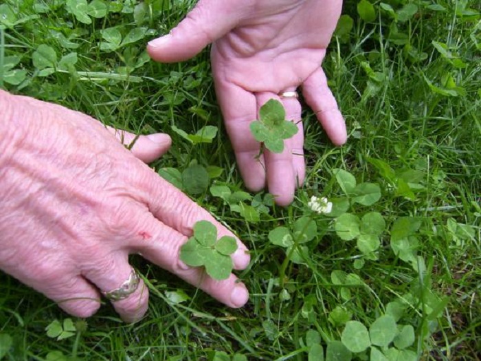 13 Superstitions We Still Believe In And How They Originated