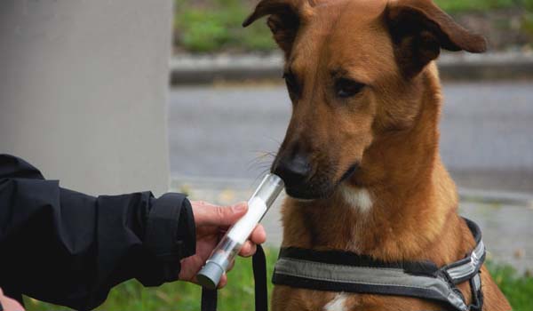 People Actually Smell Different When They’re Sick, According To A New Study