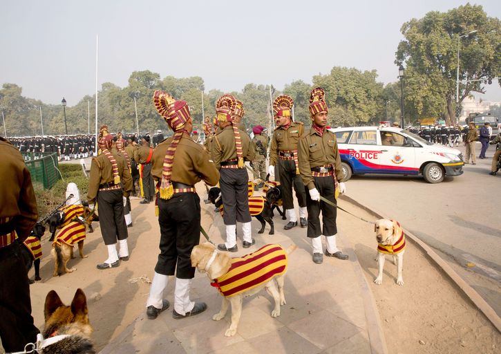 These Images Tell Us How Hard Army's Canine Heroes Are Working For ...