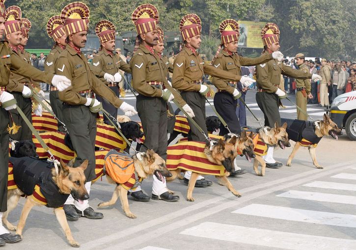 These Images Tell Us How Hard Army's Canine Heroes Are Working For ...