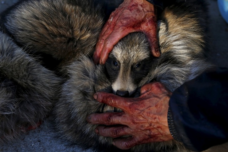 The Story Of The Unimaginable Cruelty Behind China's Fur Industry