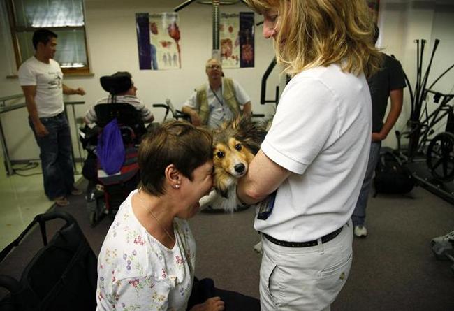 19 Touching Pictures That Prove Just How Magical Animal Therapy Can Be