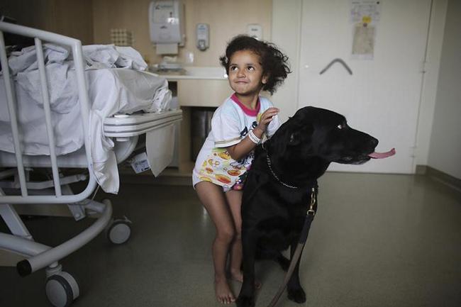 19 Touching Pictures That Prove Just How Magical Animal Therapy Can Be