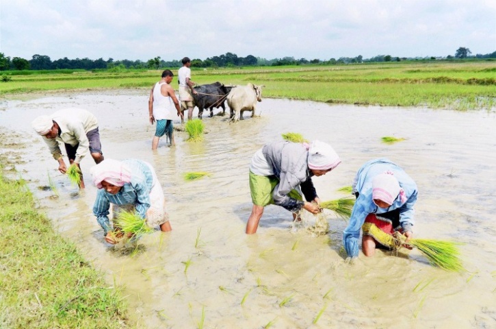 The Simple Irrigation System That's Been Helping A Village In Assam ...