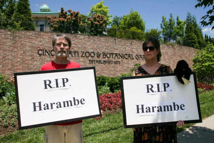 Prosecutors May Level Criminal Charges Against The US Zoo That Killed ...