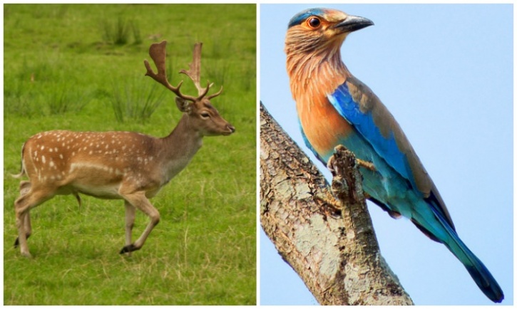 Did You Know That Every State And Union Territory Of India Has A State ...