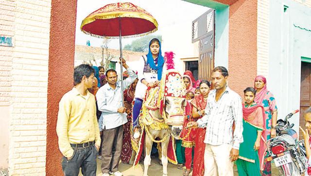 Haryana Bride Sets New Example For Gender Equality, Rides Mare To Her ...