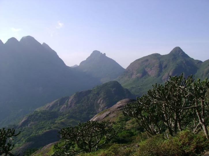 UNESCO Lists India's Agasthyamala Forests Among World Network Of ...