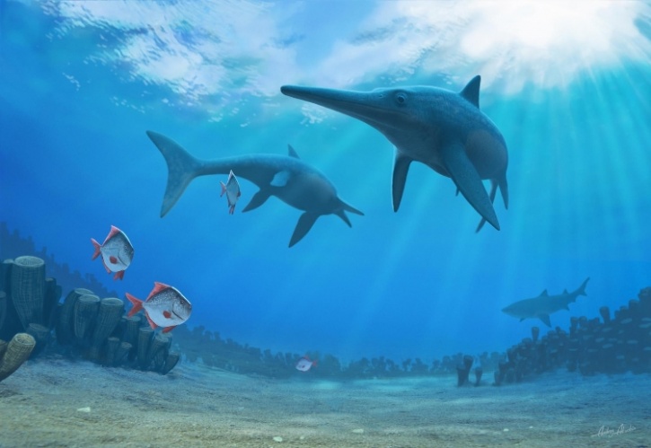 A 94-Million-Year-Old Mystery Of The Marine Dino Ichthyosaur Has ...