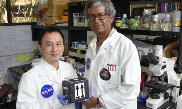 NASA Is Sending Fungi To Space In The Hopes Of Developing New Medicines!