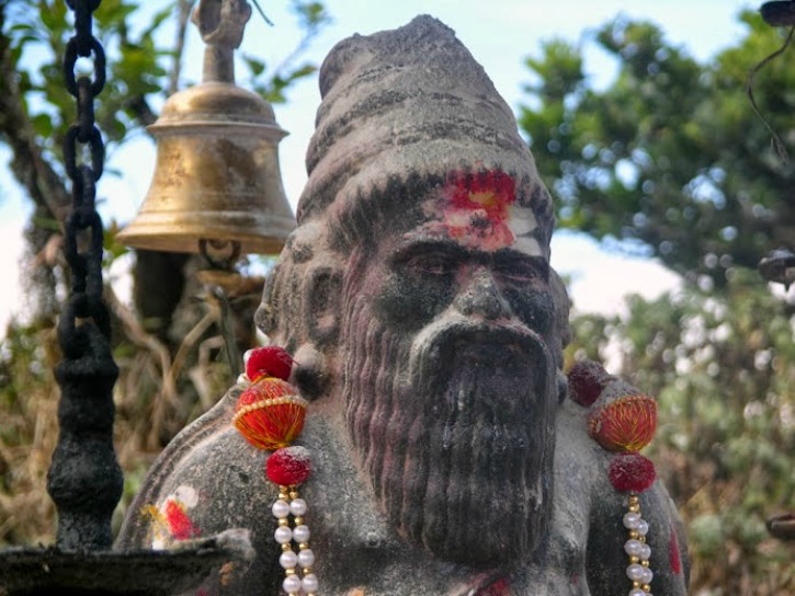 UNESCO Lists India's Agasthyamala Forests Among World Network Of ...