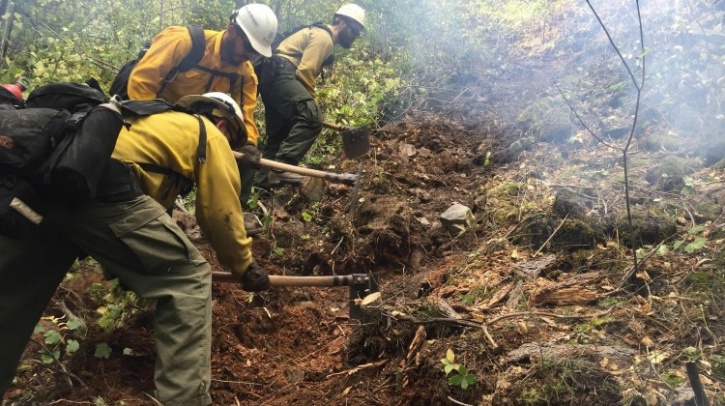 This Is The Reality Of What Forest Fires Are Doing To Our Wildlife