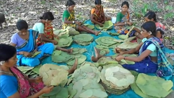 3,500 Tribal Women Turn Entrepreneurs As Their Siali Leaf Plates Make ...