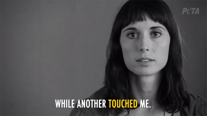 PETA Has Pissed Off The Internet By Comparing Artificial Insemination ...